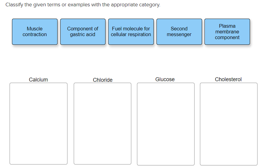 Solved Classify the given terms or examples with the | Chegg.com