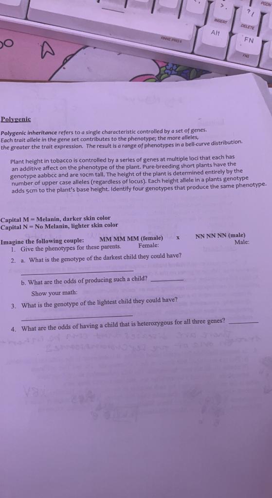 Solved Polygenic Polygenic inheritance refers to a single | Chegg.com