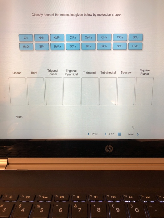 Solved Classify each of the molecules given below by | Chegg.com