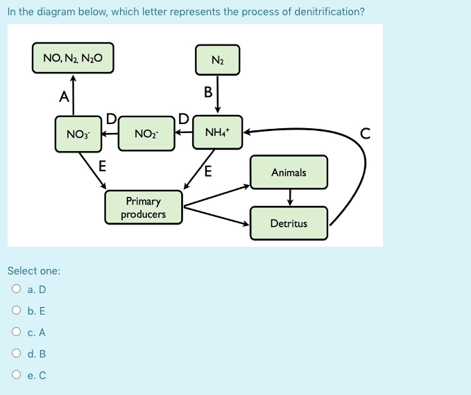 Denitrification Process