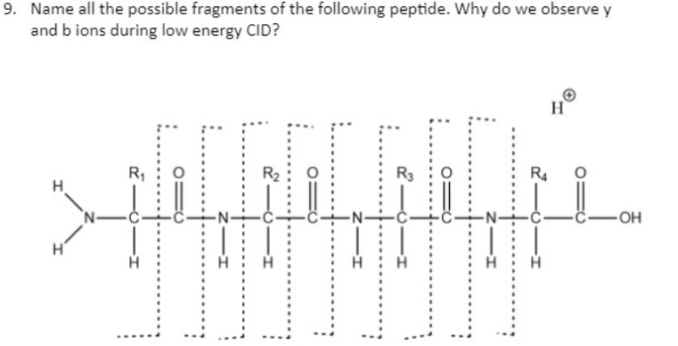 Solved Name all the possible fragments of the following | Chegg.com