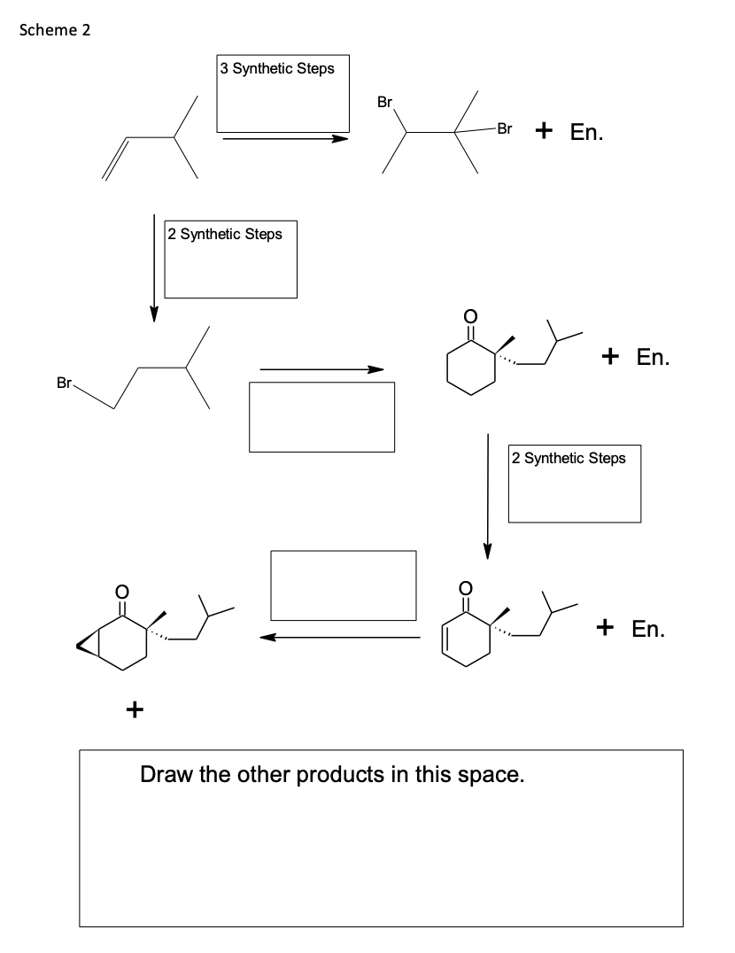 Solved Scheme 2 3 Synthetic Steps + En. 2 Synthetic Steps O= | Chegg.com
