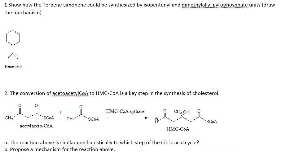 Solved 1 Show how the Terpene Limonene could be synthesized | Chegg.com