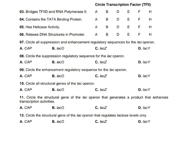Solved Circle Transcription Factor (TFIlI) 03. Bridges TFIID | Chegg.com