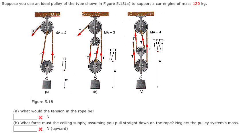 Solved Figure 5.18 (a) What would the tension in the rope | Chegg.com