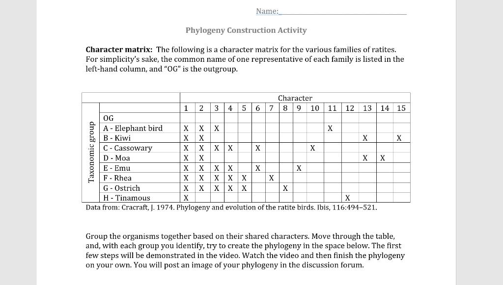 Solved Name: Phylogeny Construction Activity Character | Chegg.com