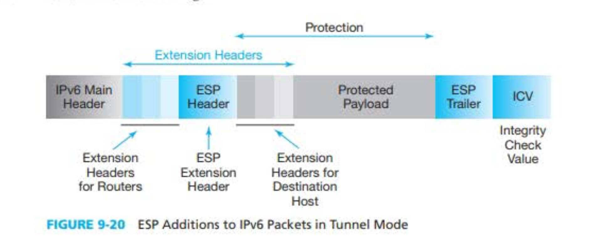 Protection Extension Headers IPv6 Main Header ESP | Chegg.com