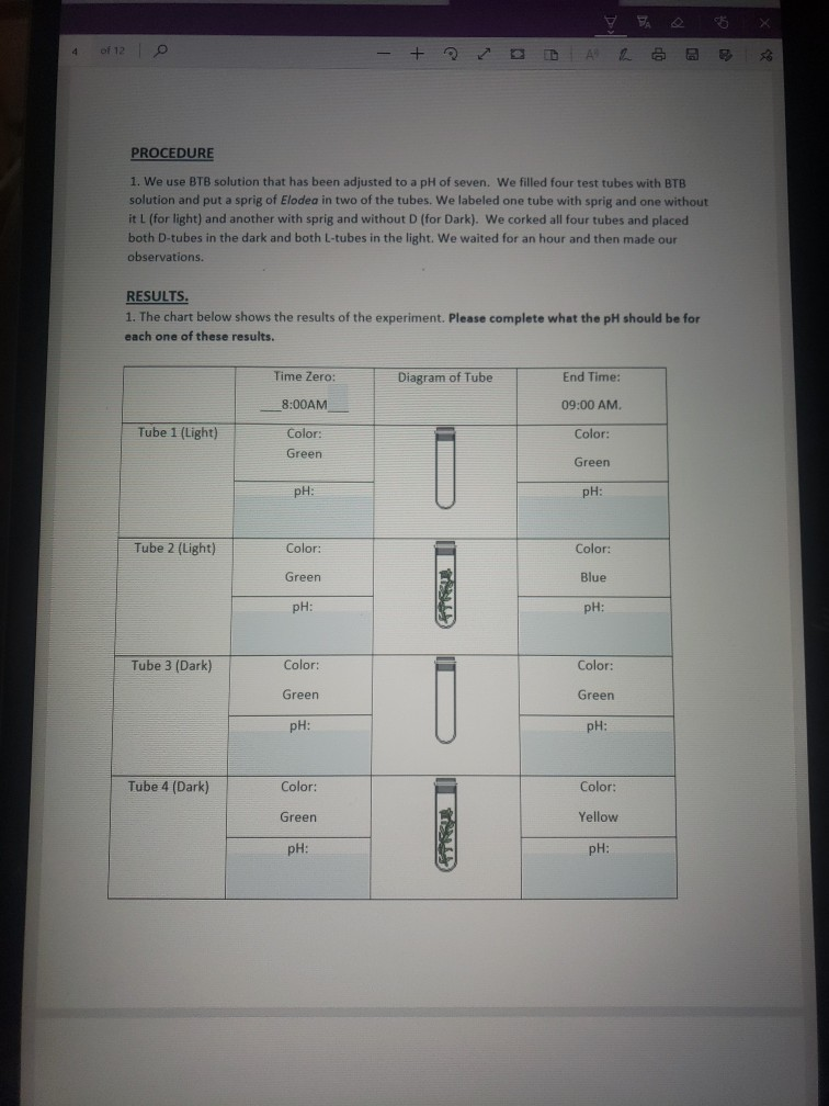 Solved 4 of 12 lo - + 2 DA é a $ PROCEDURE 1. We use BTB | Chegg.com