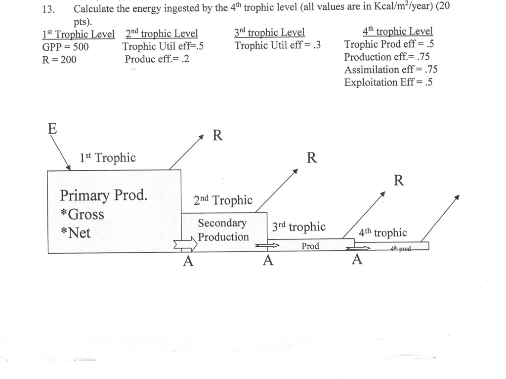 Solved 13. Calculate the energy ingested by the 4th trophic | Chegg.com