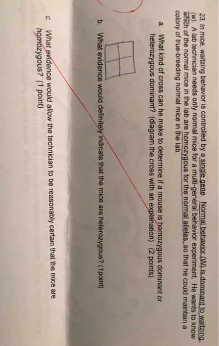 Solved 23. In mice, waltzing behavior is controlled by a | Chegg.com