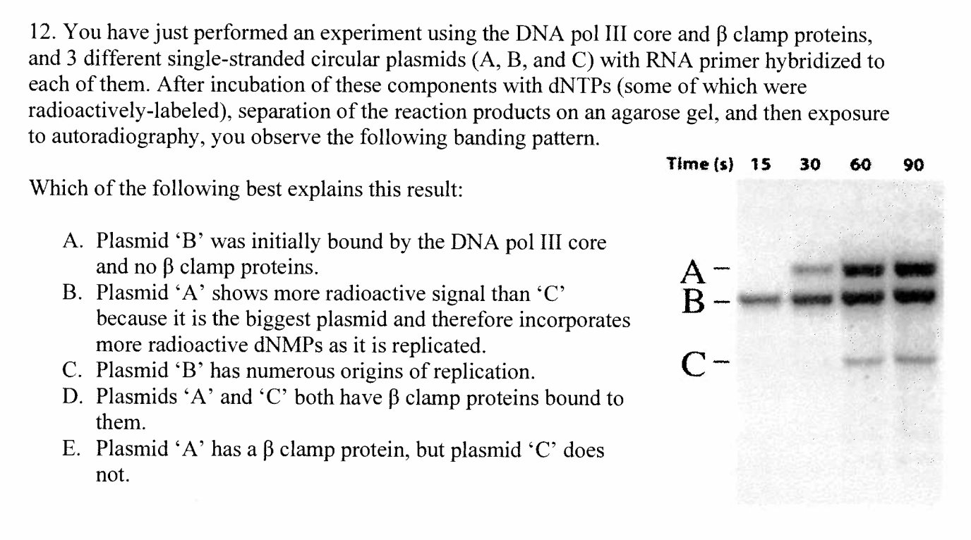 Solved You have just preformed an experiment using the DNA | Chegg.com
