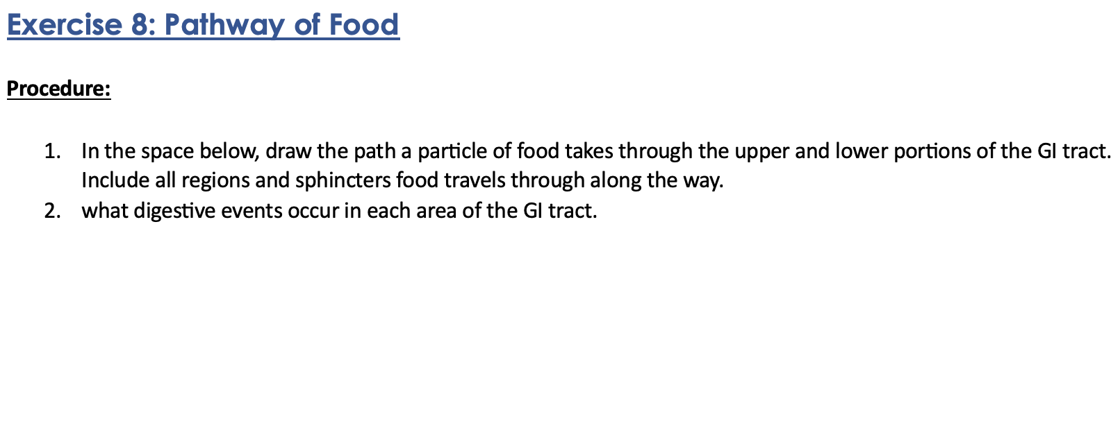 Solved Exercise 8: Pathway of Food Procedure: 1. In the | Chegg.com