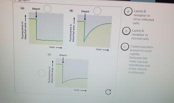 Solved Part 1 The FRAP technique occurs in a series of | Chegg.com