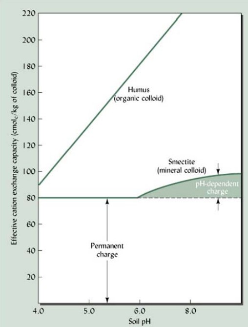 Solved Explain the interactions within this graph | Chegg.com