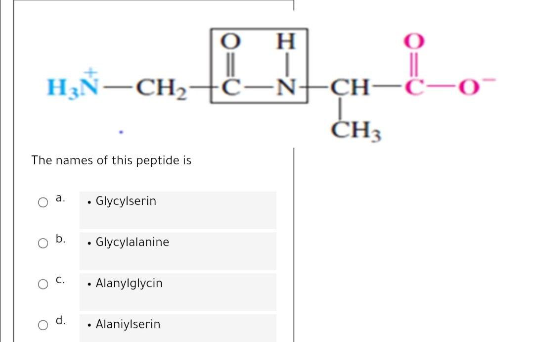 Solved H H3N-CH2 -td_ C-NCH-C-0 I СН3 The names of this | Chegg.com