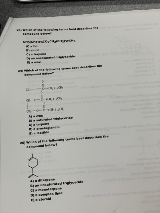 Solved 23) Which of the following terms best describes the | Chegg.com
