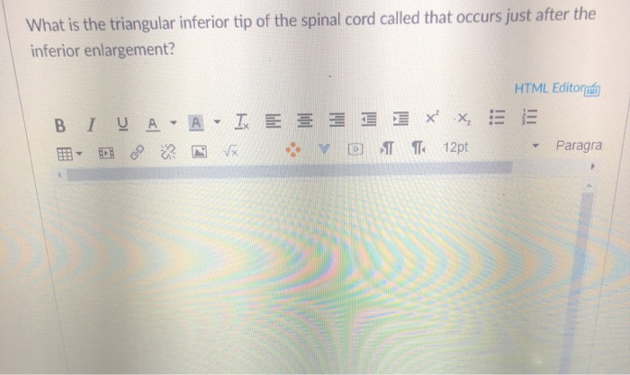 Solved What is the triangular inferior tip of the spinal | Chegg.com