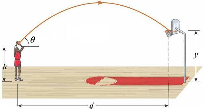 Solved A basketball player who is 2m tall is standing | Chegg.com