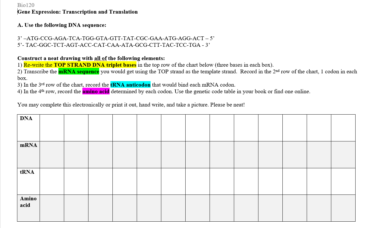 Solved Bio120 Gene Expression: Transcription and Translation | Chegg.com