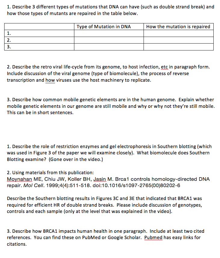 Solved 1. Describe 3 different types of mutations that DNA | Chegg.com