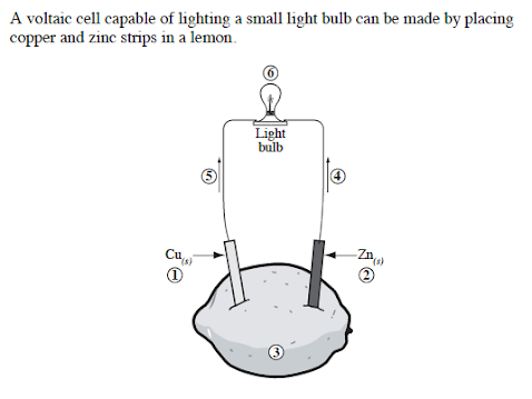 Solved Identify the Anode __________ ﻿Cathode __________ | Chegg.com