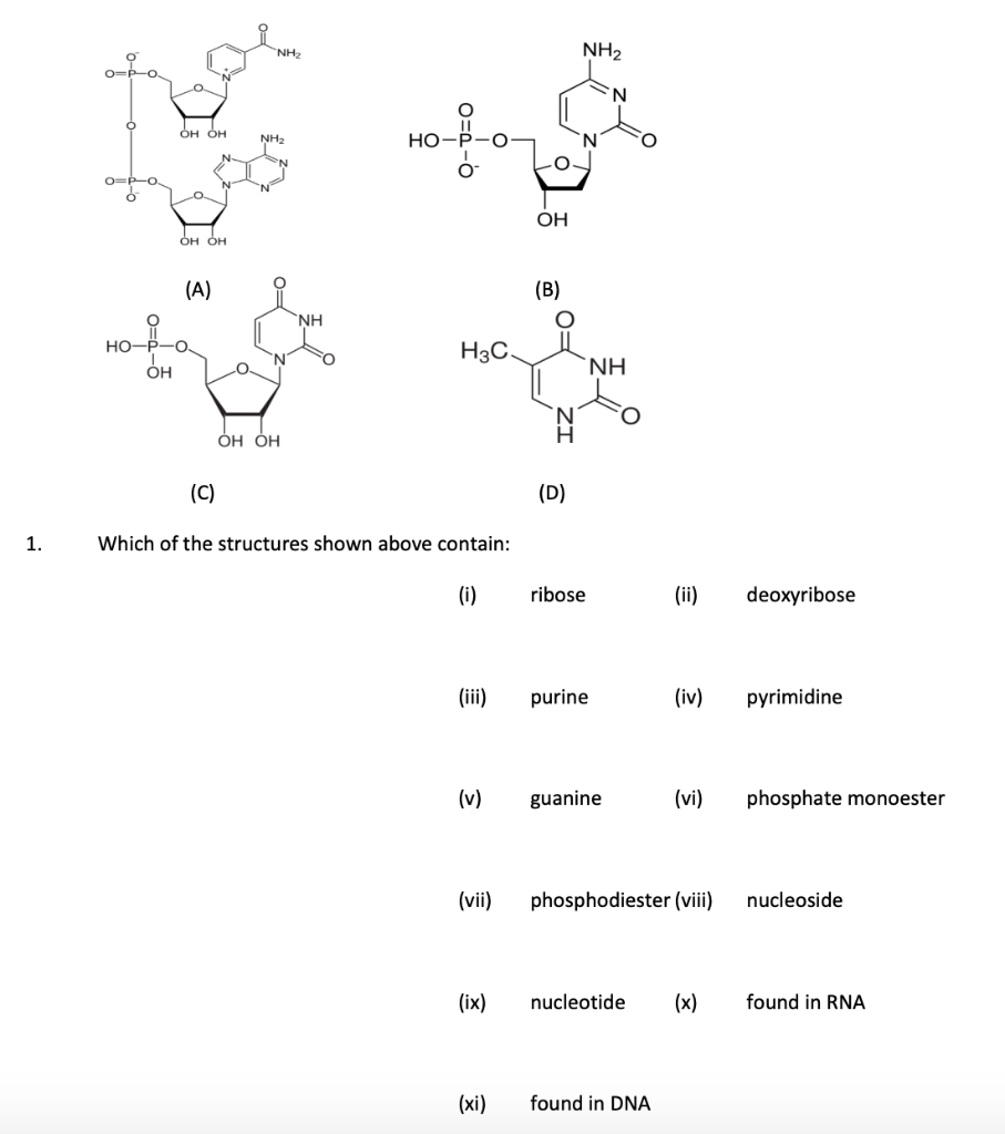 Solved NH2 OH NH2 HO- 0=-6 O=P-O он он (A) Eglo @07_ZI @ H3C | Chegg.com