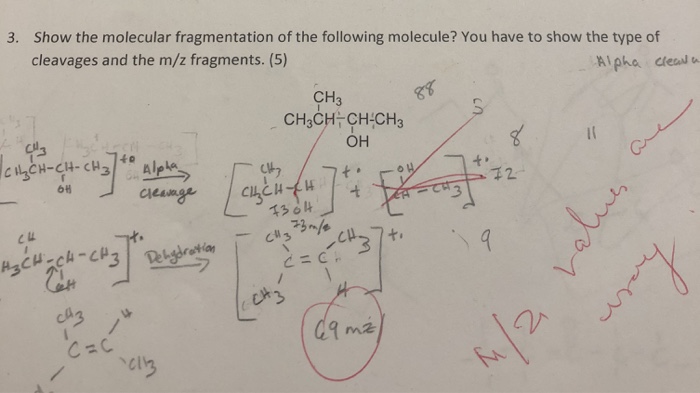 Solved Show the molecular fragmentation of the following | Chegg.com