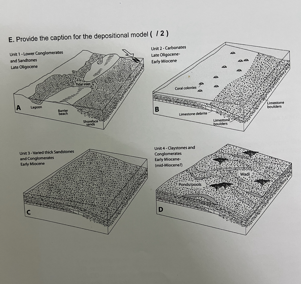 Solved Please write a caption for thease images explaining | Chegg.com