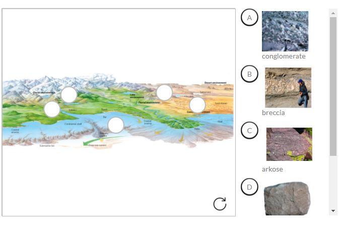 Solved Place each clastic sedimentary rock into the correct | Chegg.com