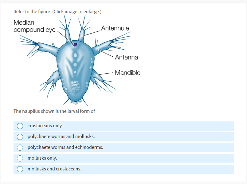 Solved Refer to the figure. (Click image to enlarge.) Median | Chegg.com