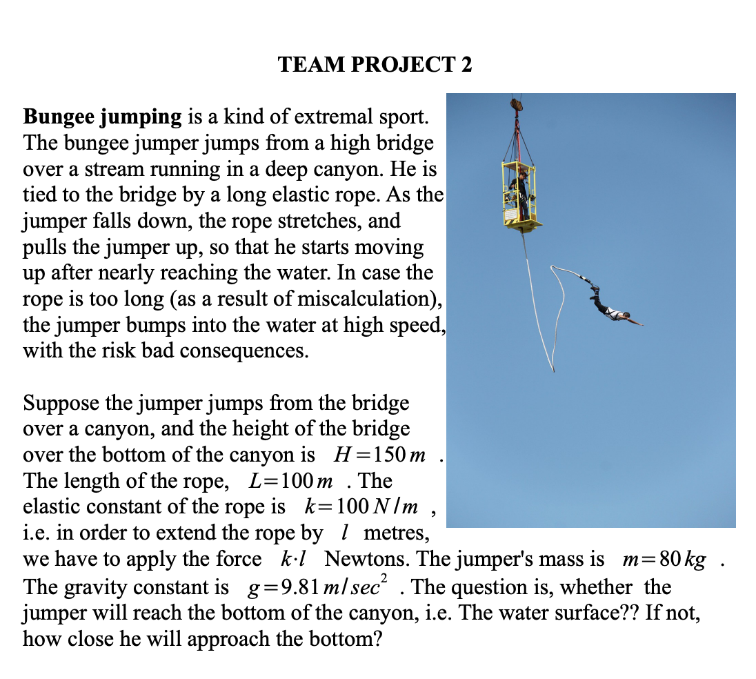 Solved TEAM PROJECT 2 Bungee jumping is a kind of extremal | Chegg.com