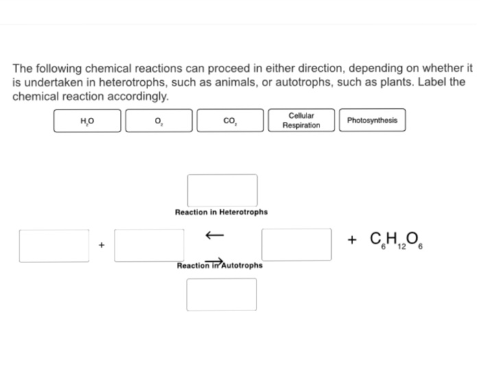 Biology Archive | May 01, 2017 | Chegg.com