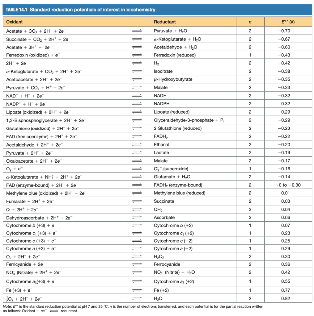 [Solved]: Overall Reaction: 2Cyt cred + 1/2 O2 + ADP + Pi