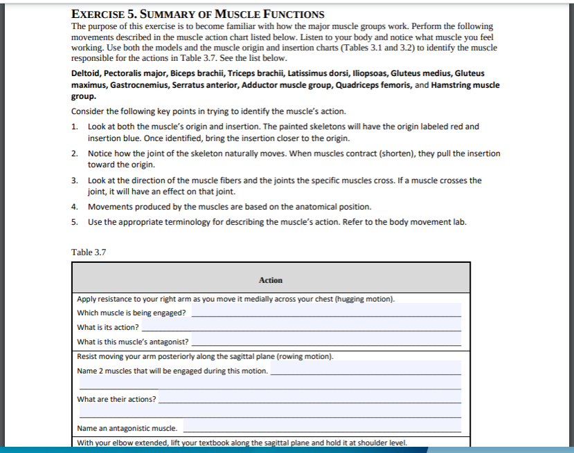 Solved EXERCISE 5. SUMMARY OF MUSCLE FUNCTIONS The purpose | Chegg.com