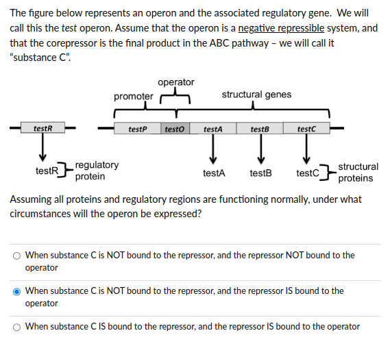 Solved The figure below represents an operon and the | Chegg.com