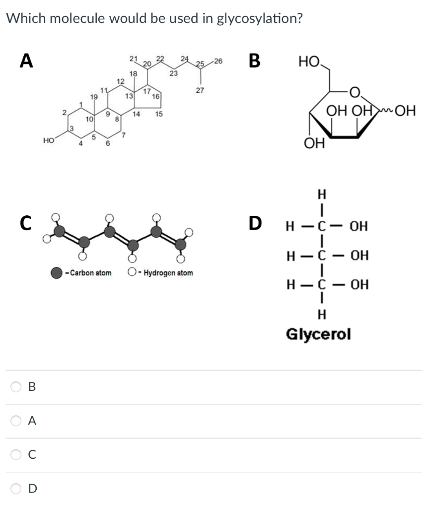 Solved Which molecule would be used in glycosylation? A C D | Chegg.com