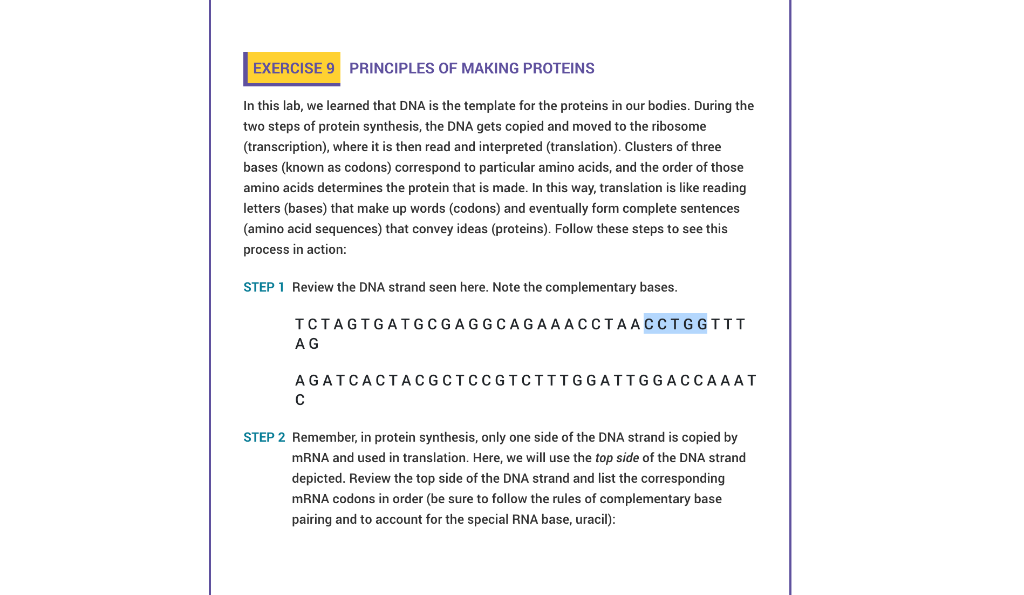 Solved EXERCISE 9 PRINCIPLES OF MAKING PROTEINS In this lab, | Chegg.com