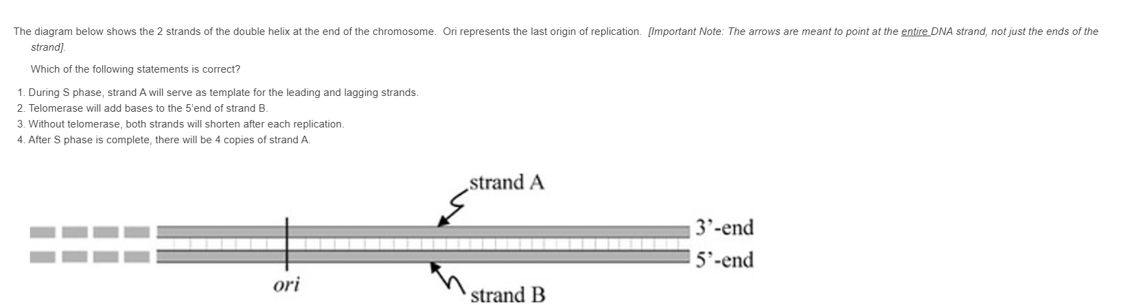 Solved The diagram below shows the 2 strands of the double | Chegg.com