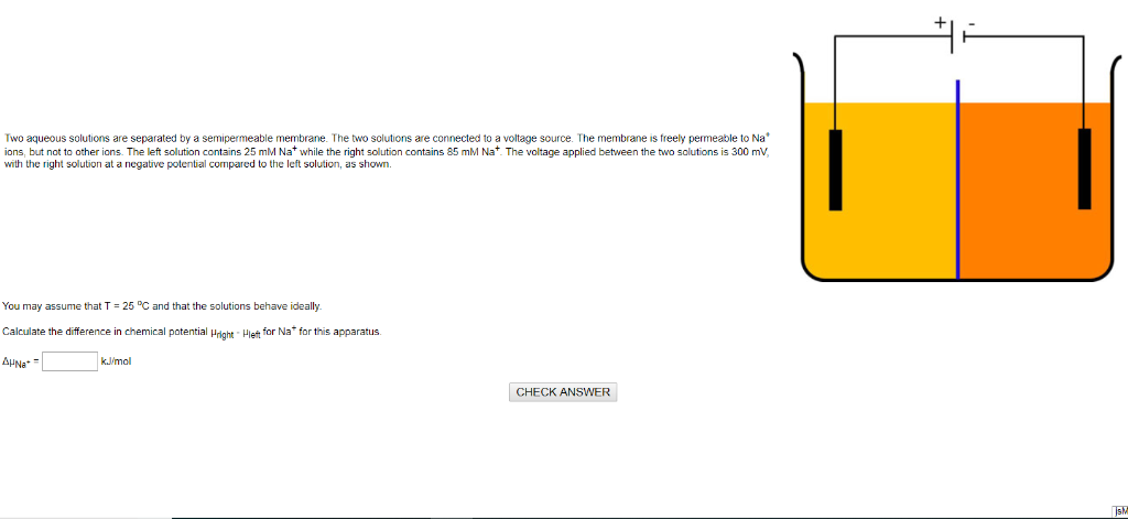 Two aqueous solutions are separated by a | Chegg.com
