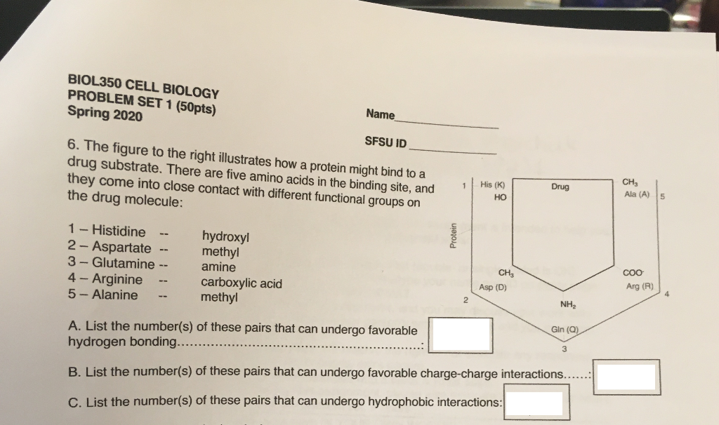 Solved BIOL350 CELL BIOLOGY PROBLEM SET 1 (50pts) Name | Chegg.com
