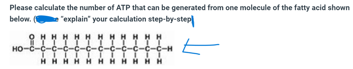 Solved Please calculate the number of ATP that can be | Chegg.com