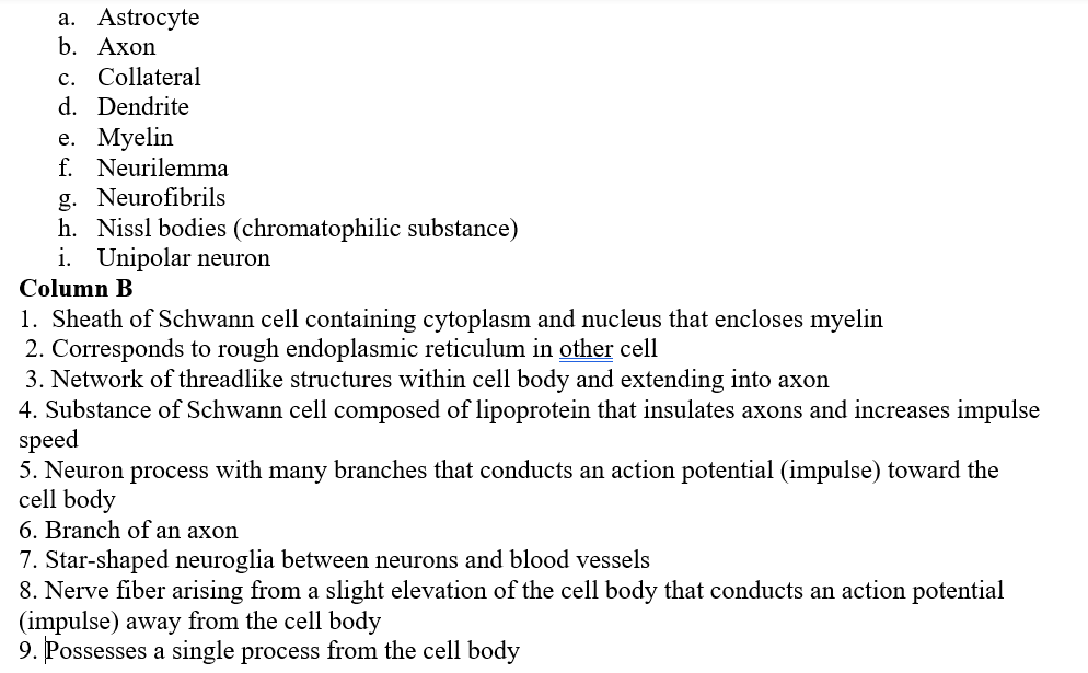 Solved a. Astrocyte b. Axon c. Collateral d. Dendrite e. | Chegg.com