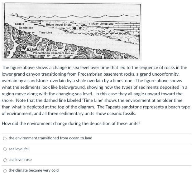 Solved Tapeats Sandstone Bright Angel Shale Muay Limestone | Chegg.com