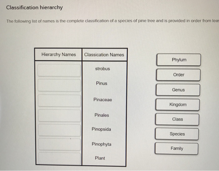 Solved Classification hierarchy The following list of names | Chegg.com