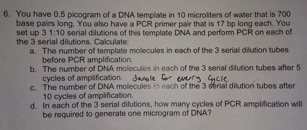 6. You have 0.5 picogram of a DNA template in 10 | Chegg.com