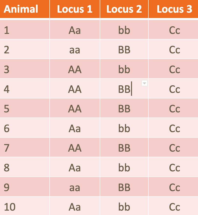 Solved Consider 10 animals screened for genotypes at three | Chegg.com