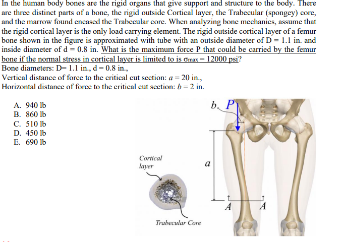 Solved In the human body bones are the rigid organs that | Chegg.com