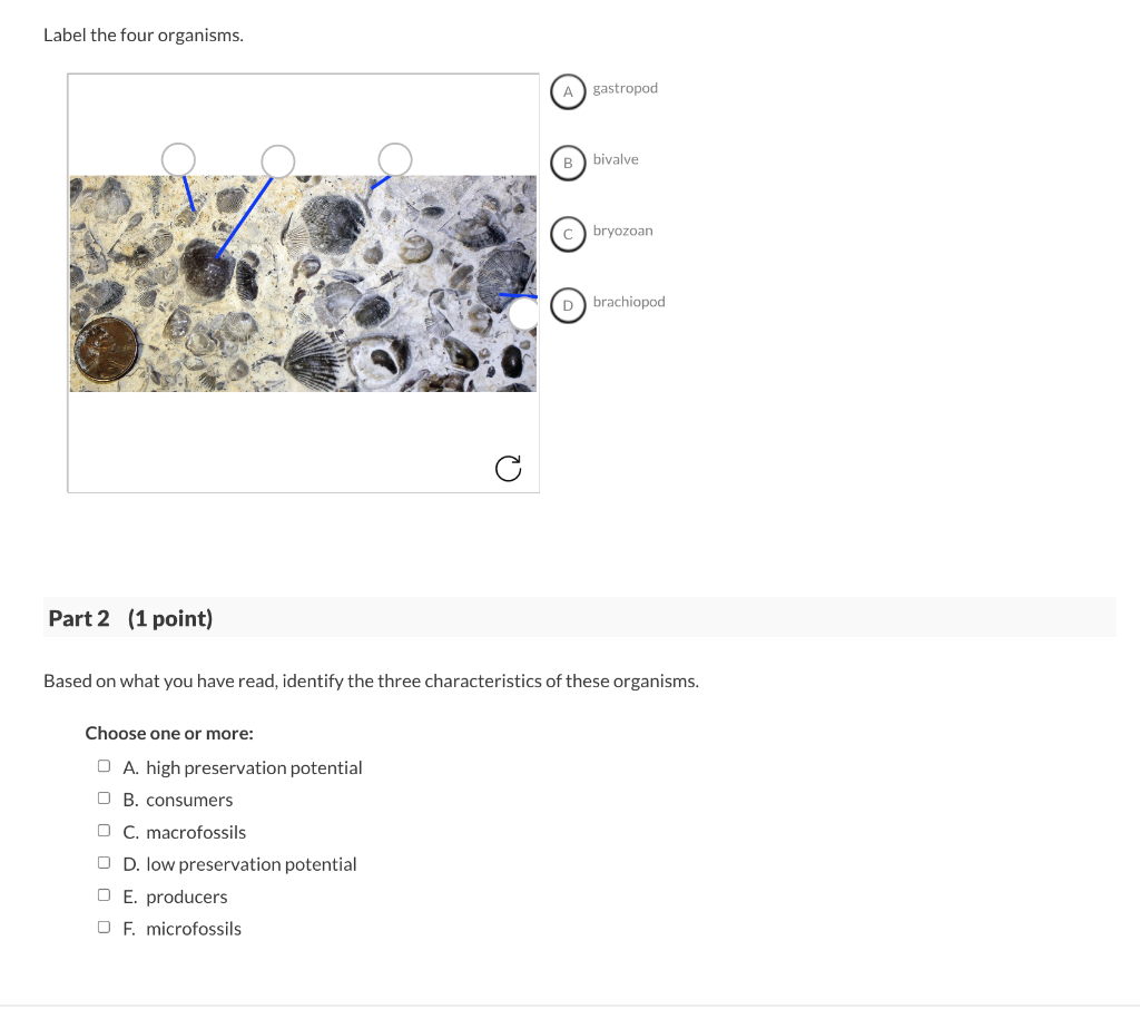 Solved Label the four organisms. gastropod bivalve bryozoan | Chegg.com