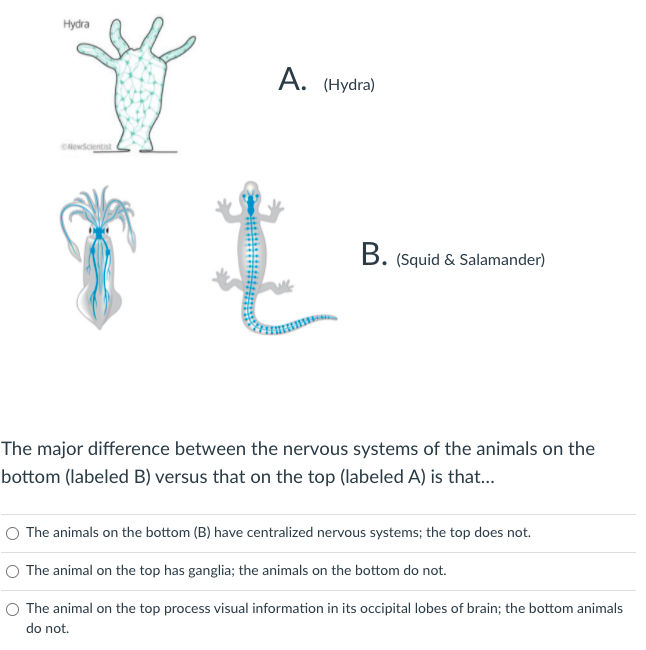Solved Rabbits consume their own “pre-feces," or cecotropes. | Chegg.com