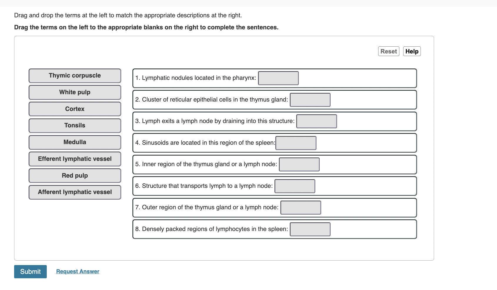Solved Referring to the image below, drag and drop the | Chegg.com